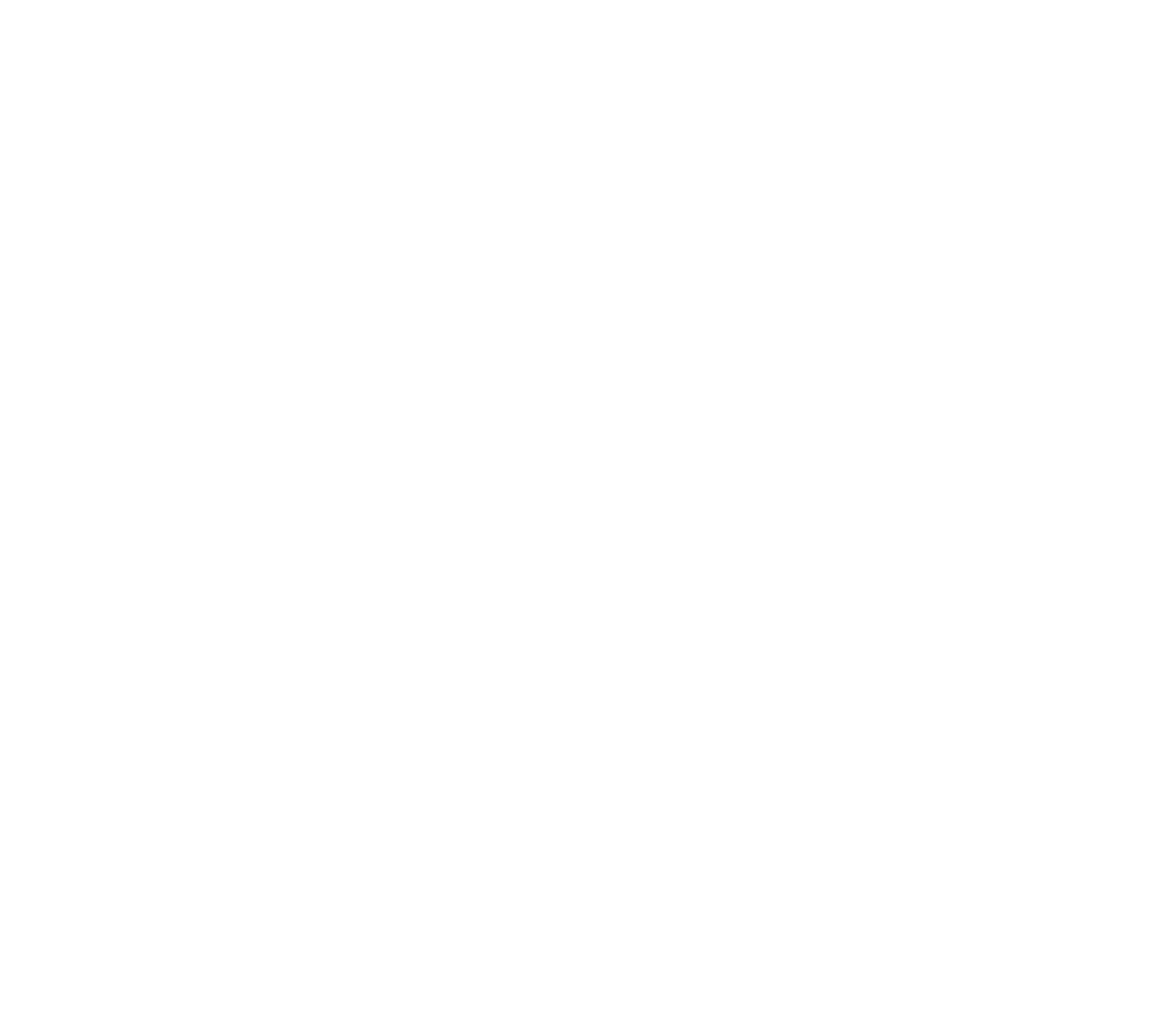 Young Kings Inc